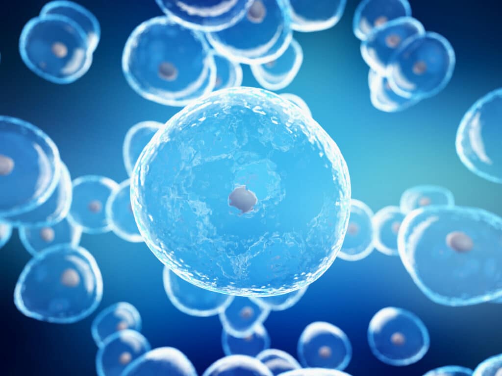 A Basic Overview Of Cell Therapy | KreaMedica